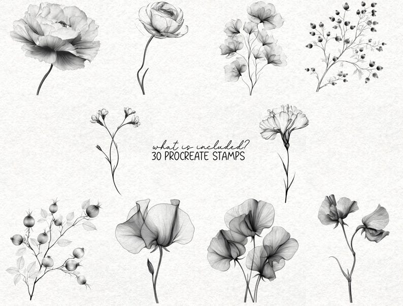 Romantic Wildflower Procreate Stamp Botanical Brushes Flash Tattoo ...
