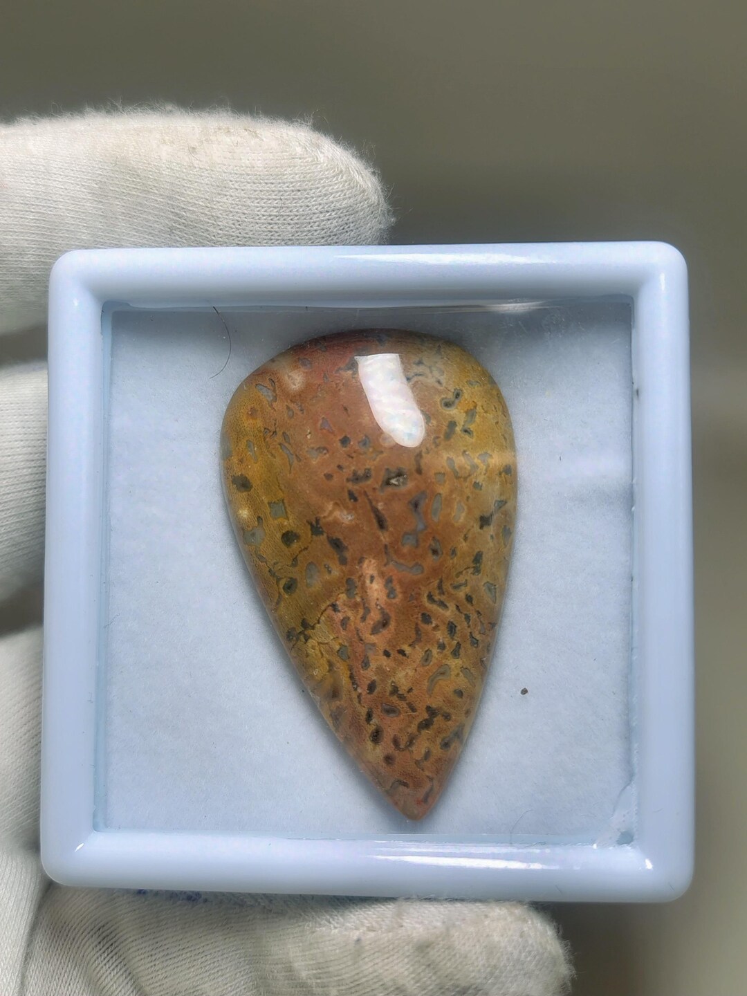 Natural Leopard Skin Jasper Pear Cabochon Brown & Beige Tone Jasper ...