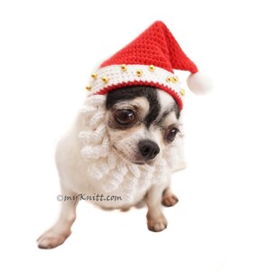 Santa Dog Hat Santa Beard Hat for Dogs Cats Christmas Santa - Etsy