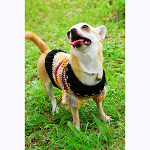 Personalized Chihuahua Clothes Teacup Dog Clothing Dog - Etsy