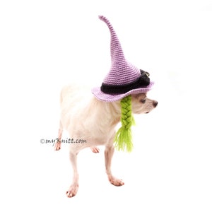 Purple Wizard Hat With Green Braid Wig, Witch Dog Hat, Wizard Dog Hat ...