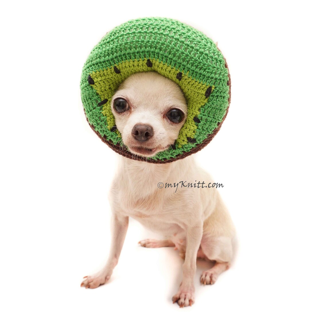 Kiwi Dog Hat Crochet Kiwi Costume Crochet Dog Hat Costume - Etsy