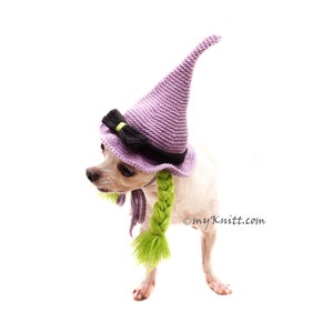Purple Wizard Hat With Green Braid Wig, Witch Dog Hat, Wizard Dog Hat ...