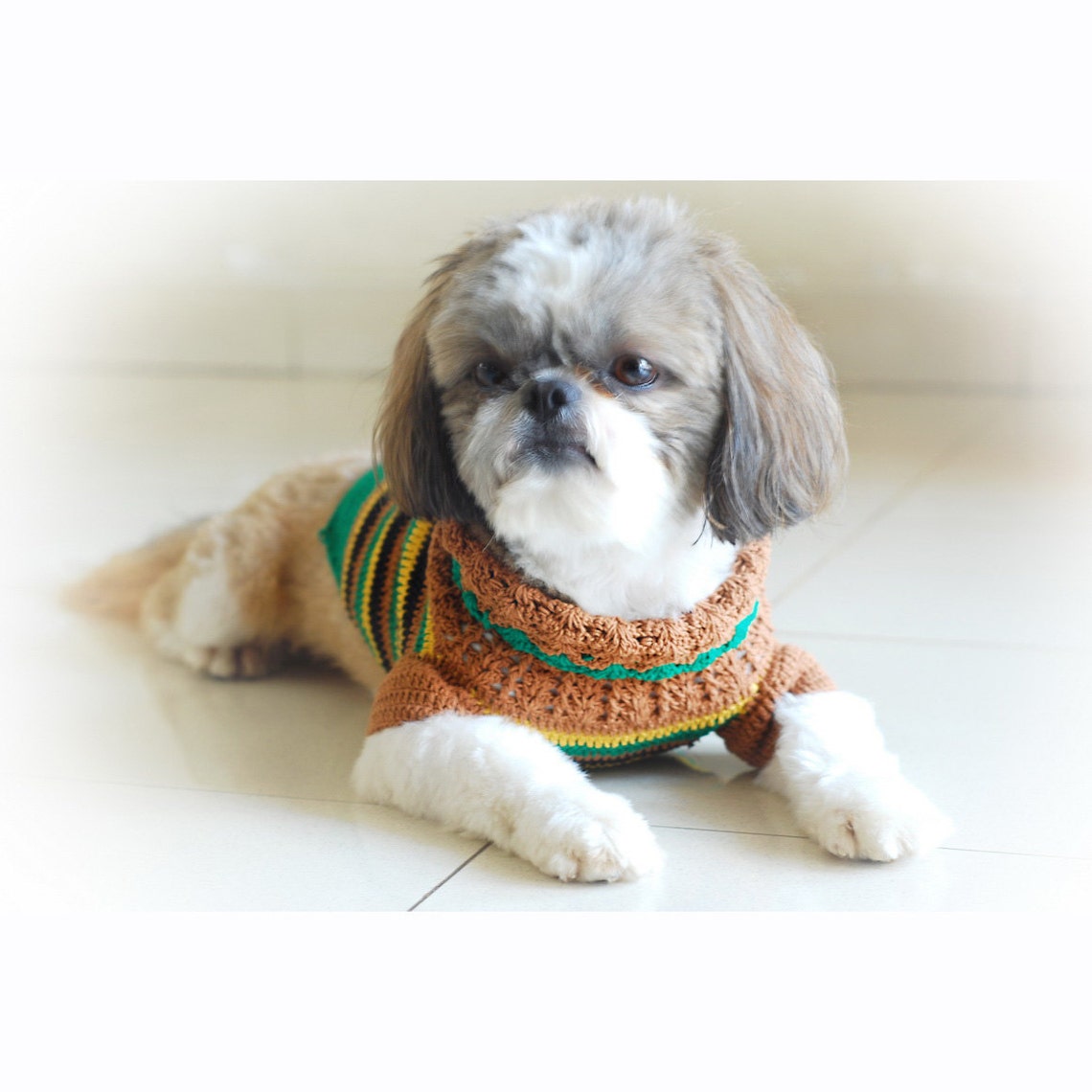 Dog Clothes Boy Casual Crochet Dog Sweater Dachshund - Etsy