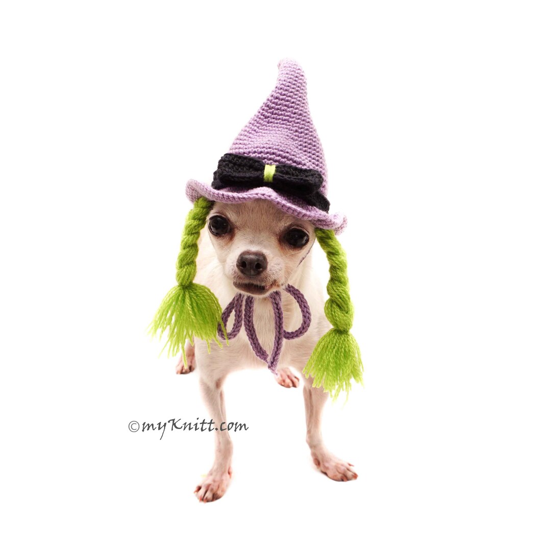 Purple Wizard Hat With Green Braid Wig, Witch Dog Hat, Wizard Dog Hat ...