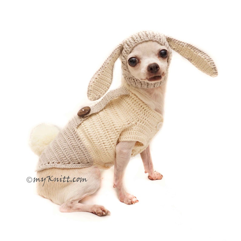 Ropa de mascota de Pascua conejo conejo traje mascota conejo - Etsy España