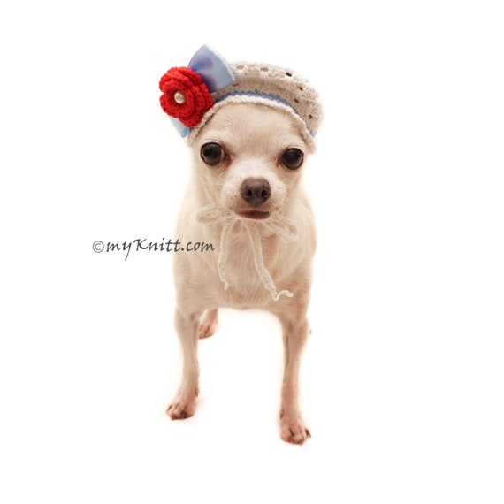 Mini Beret for Dog Cat Handmade Dog Hat Crochet Chihuahua | Etsy