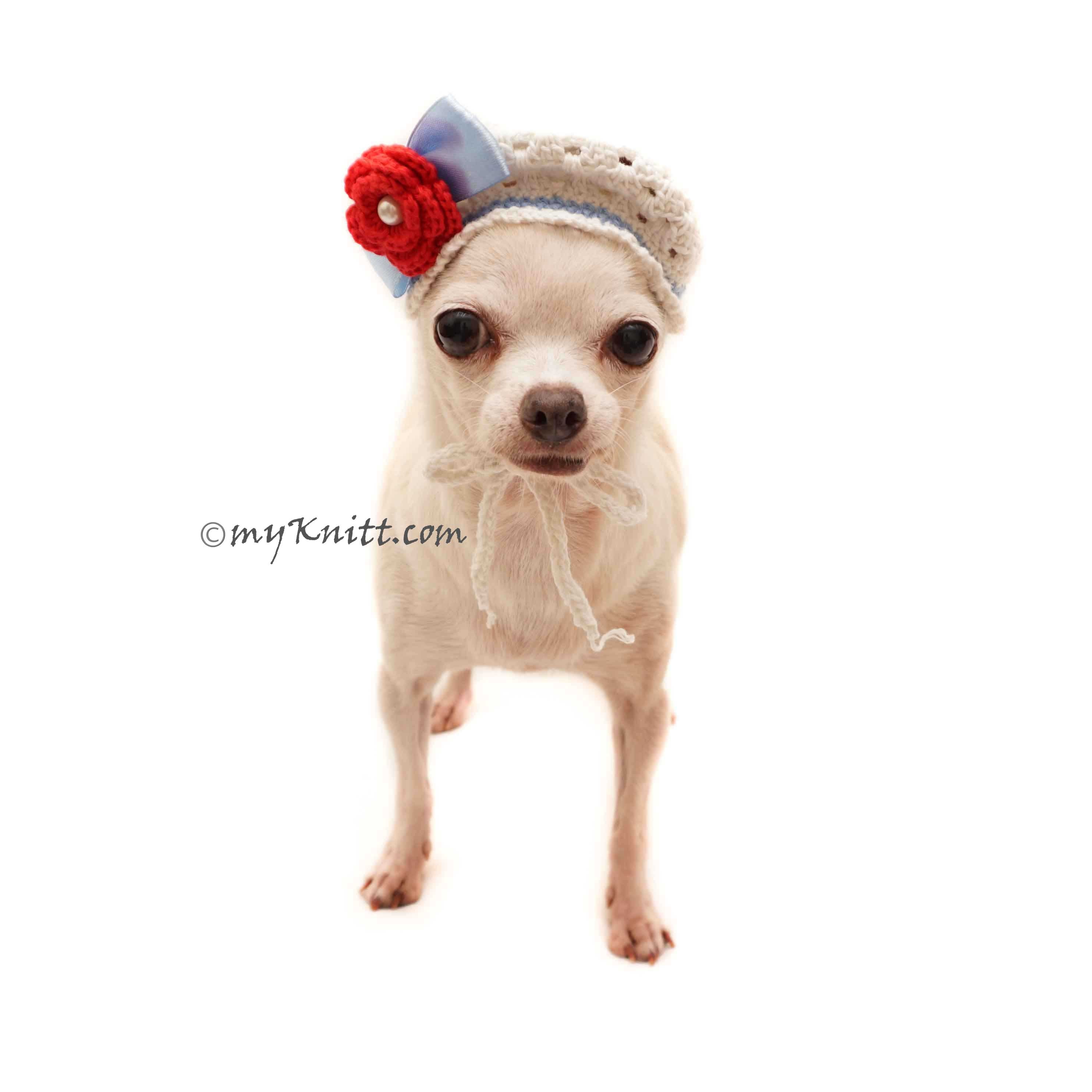 Mini Beret for Dog Cat Handmade Dog Hat Crochet Chihuahua | Etsy