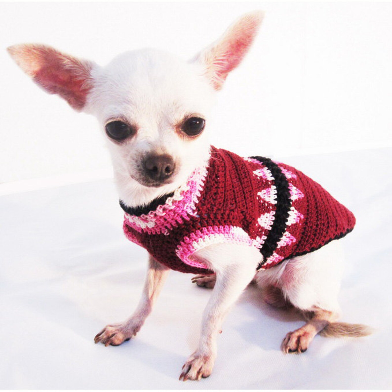 Elegant Maroon Pink Dog Sweater Hand Knitted Tooth Fairy Pet - Etsy