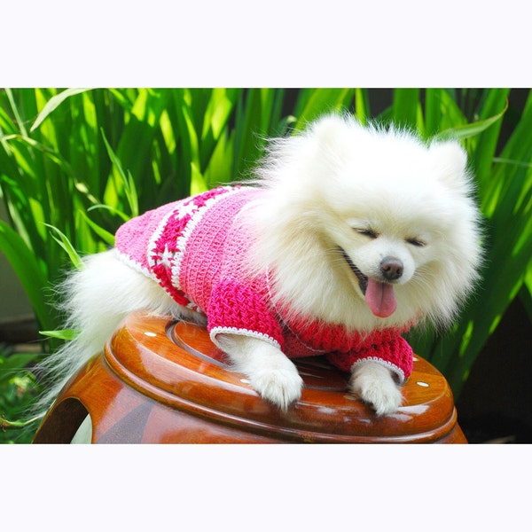 Maltese Clothes - Etsy