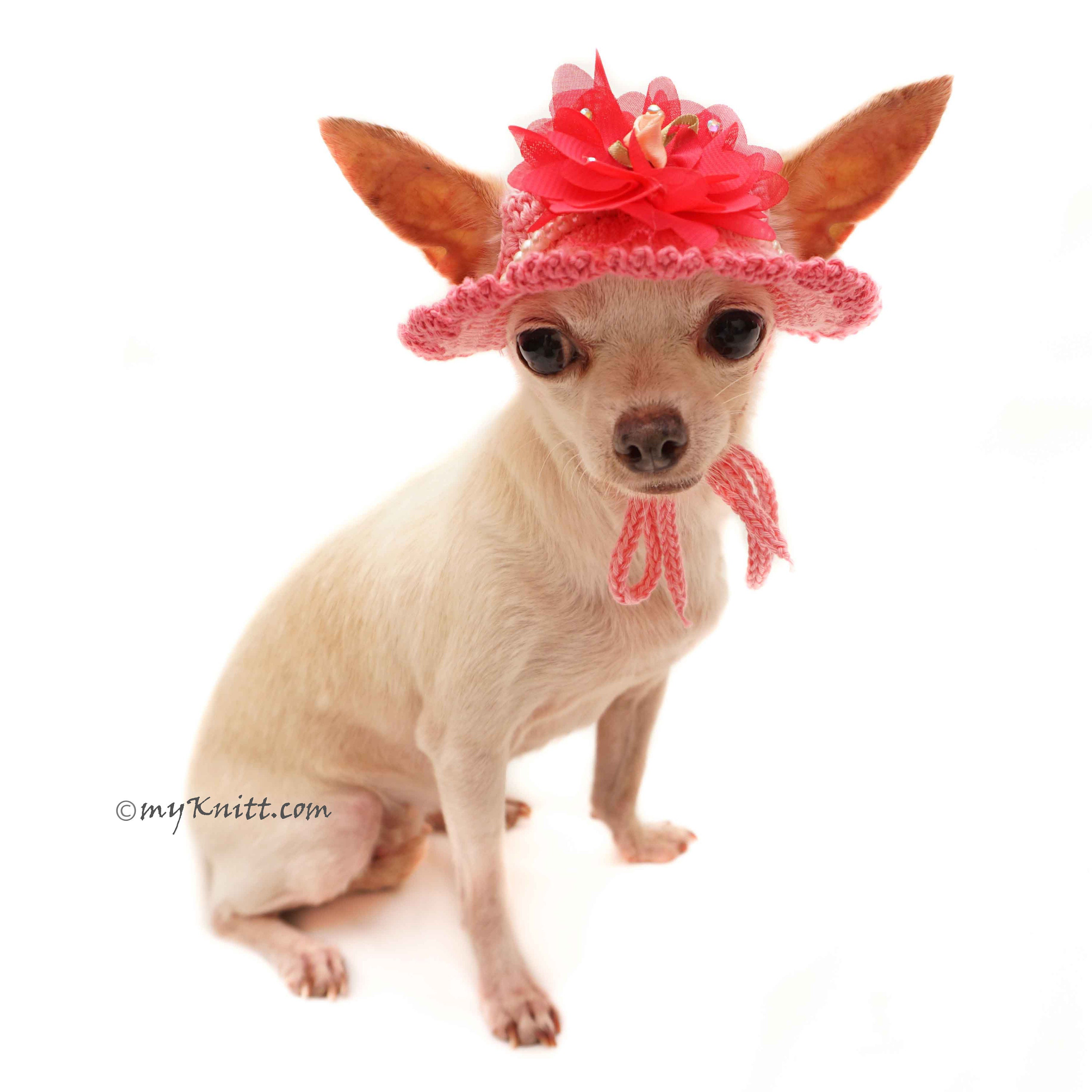 Pink Dog Sun Hat Summer with Flowers Custom Pet Hat Crochet | Etsy