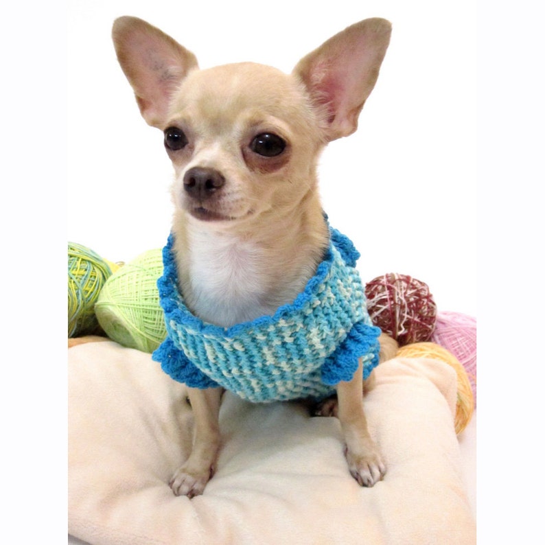 Easter Dog Clothes Easter Dog Costume Chihuahua Clothes - Etsy