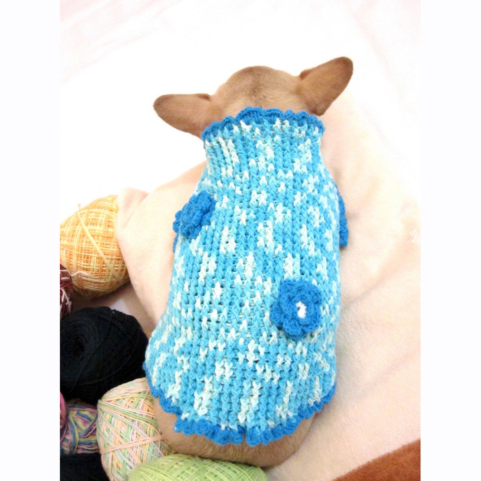 Easter Dog Clothes Easter Dog Costume Chihuahua Clothes - Etsy
