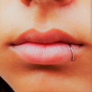 FAKE Lip Ring - 20 Gauge 316L Surgical Steel - Silver - Yellow - Rose ...