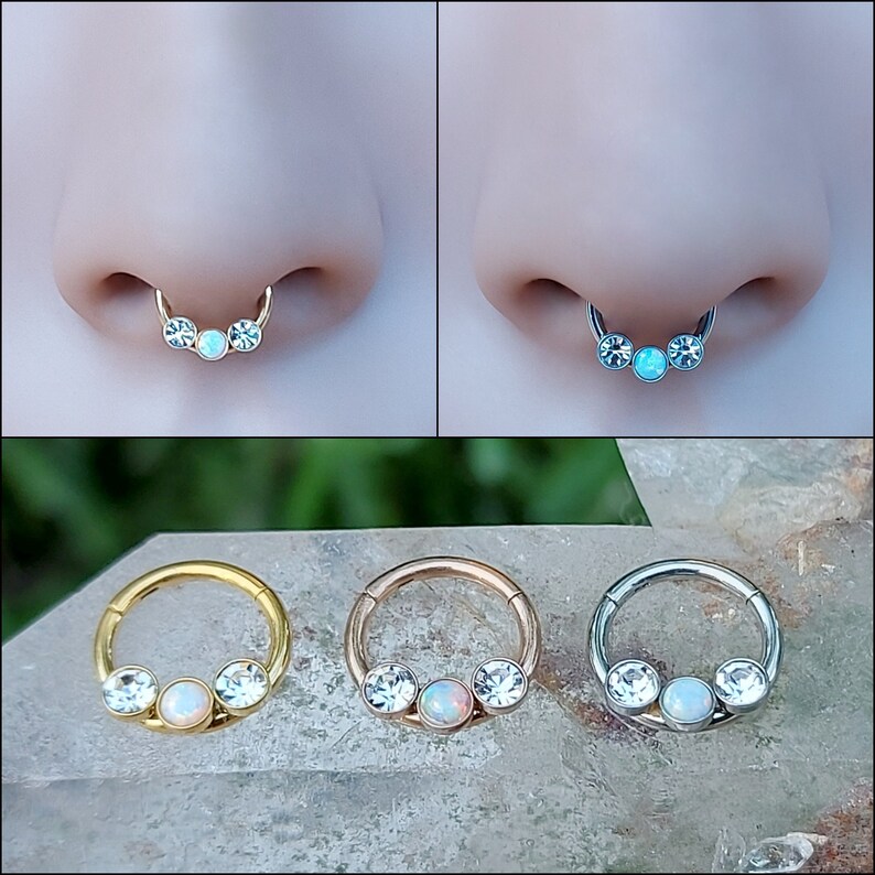 Septum Piercing Septum Ring Septum Piercing Nose Septum Piercings ...