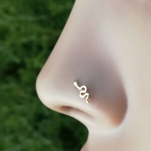 Gold Nose Ring Designs Snake Nose Rings Designs Gold Nose Ring Gold ...