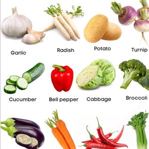 Printable Fruits and Vegetables Worksheets With BONUS | Educational PDF ...