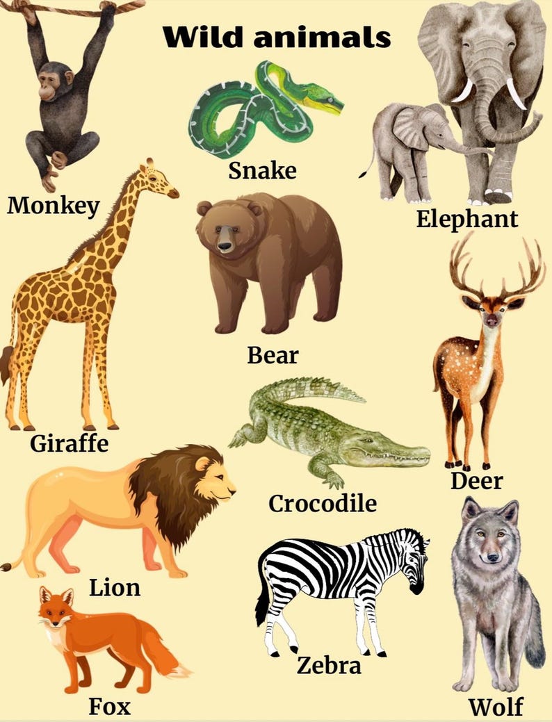 Domestic & Wild Animals Flashcards With Names + Bonus Aquatic Animals ...