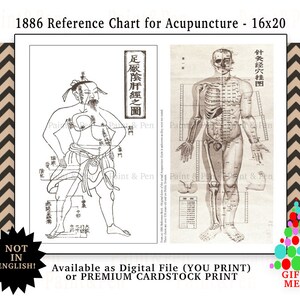 16x20 Medical Reference Poster Ancient & Modern Acupuncture Models ...