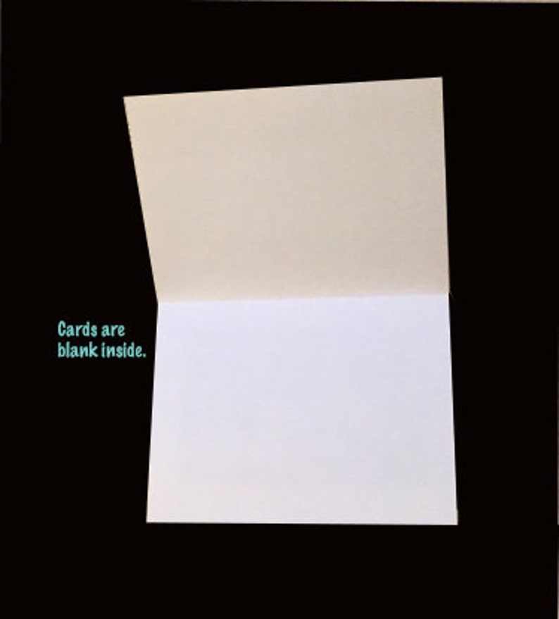 Note Cards--orange & Yellow Zinnias--blank Inside | Greeting Cards ...