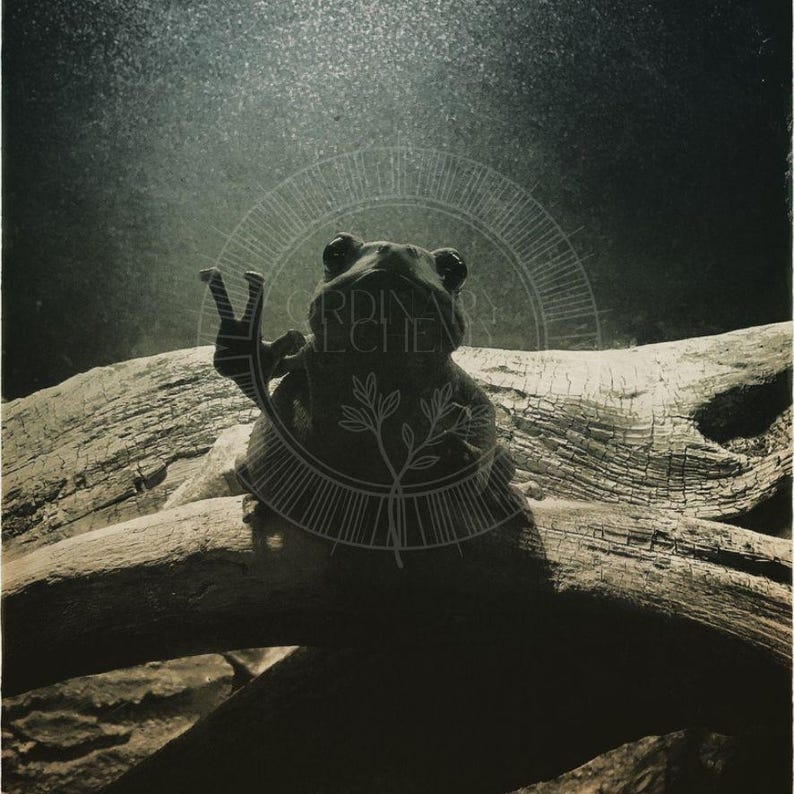 The Astronaut - Digital Photo - Etsy Canada