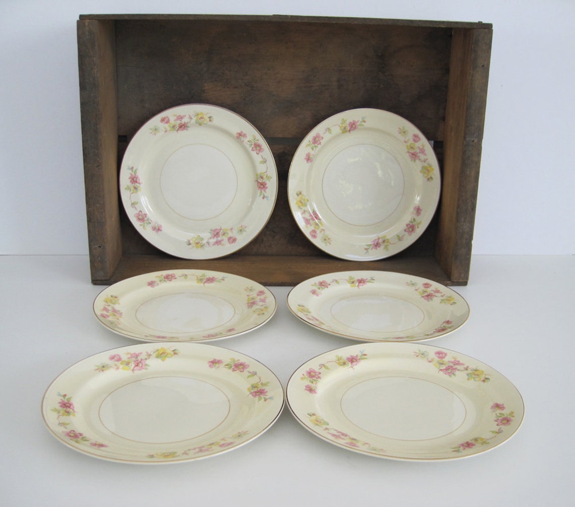 Vintage Dessert Plate Set Salad Appetizer Plates Wild Rose - Etsy
