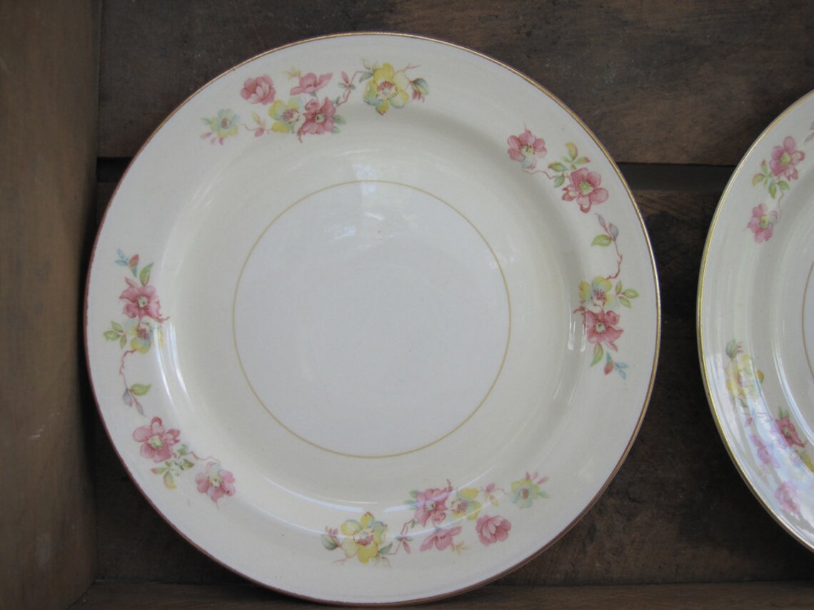 Vintage Dessert Plate Set Salad Appetizer Plates Wild Rose - Etsy