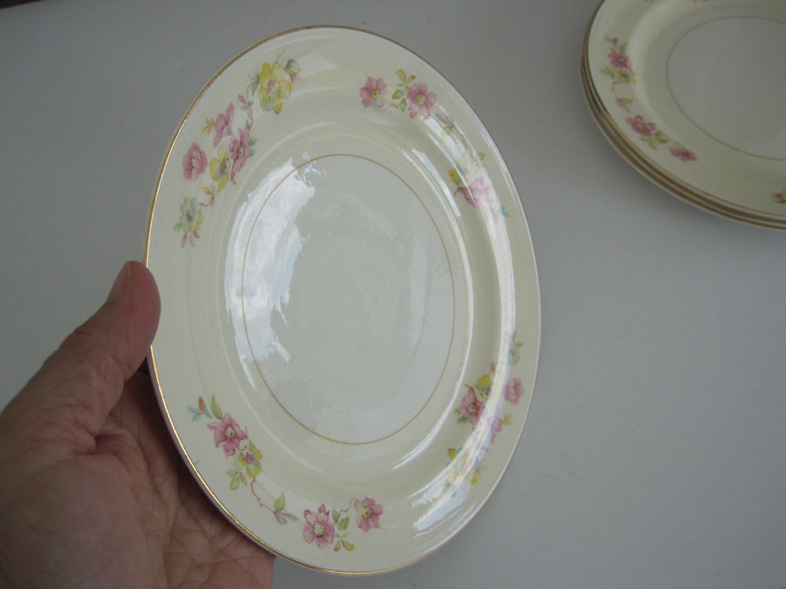 Vintage Dessert Plate Set Salad Appetizer Plates Wild Rose - Etsy