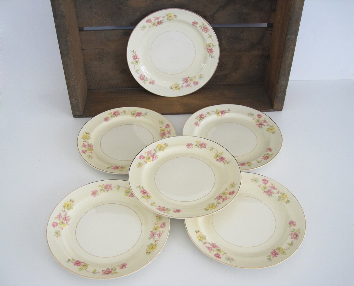 Vintage Dessert Plate Set Salad Appetizer Plates Wild Rose - Etsy
