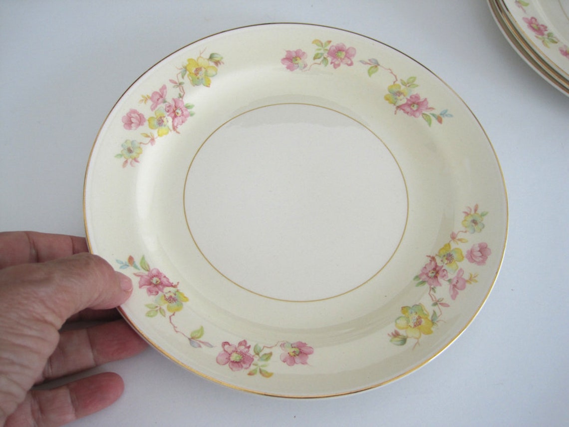 Vintage Dessert Plate Set Salad Appetizer Plates Wild Rose - Etsy