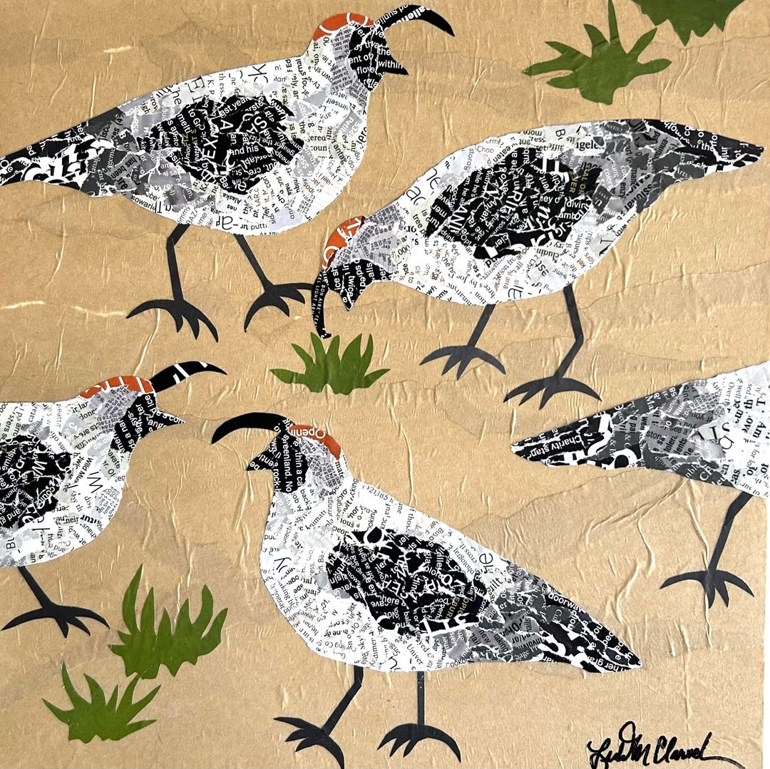 Desert Quail - Original Paper Collage - Etsy