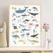 Ocean Alphabet Print, Kids Animal Poster, Animal Alphabet Print, Gender ...
