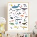 Ocean Alphabet Print, Kids Animal Poster, Animal Alphabet Print, Gender ...