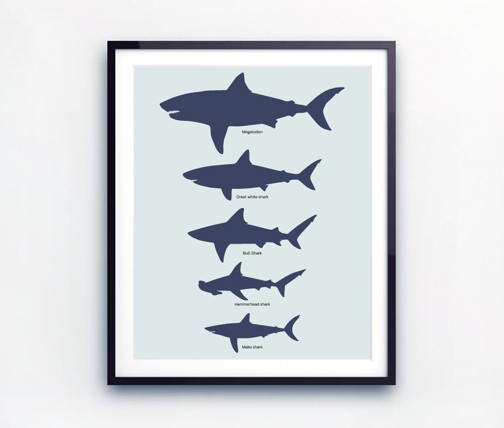 Shark printable Ocean theme nursery Sea animal print | Etsy