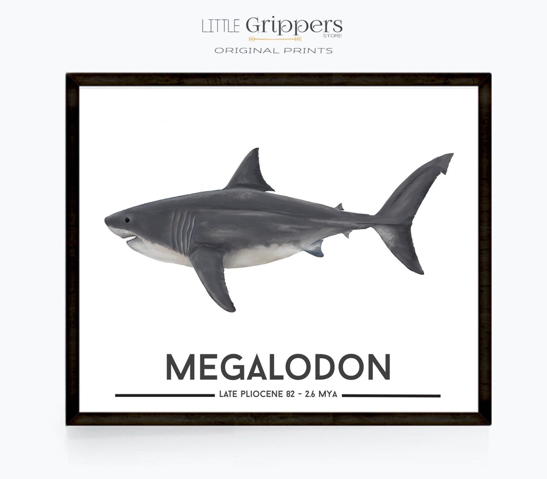 Megalodon Shark Poster, Watercolor Shark Poster for Kids, Boys Room ...