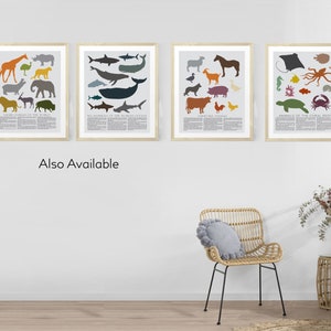 Ocean Animal Nursery Decor, 1-10 Counting Poster, Gender Neutral Kids ...