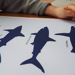 Shark Printable Ocean Theme Nursery Sea Animal Print - Etsy