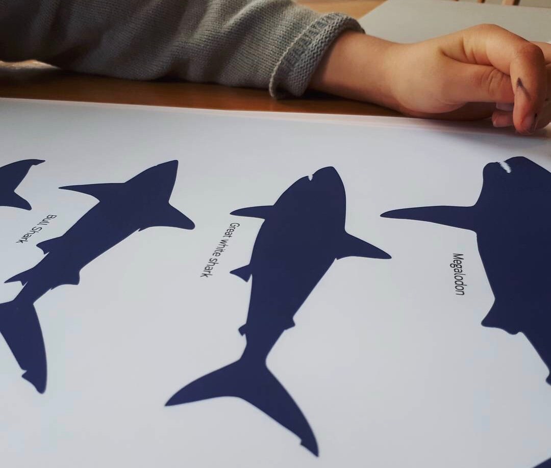 Shark printable Ocean theme nursery Sea animal print | Etsy