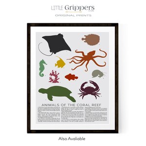 Ocean Alphabet Print, Kids Animal Poster, Animal Alphabet Print, Gender ...