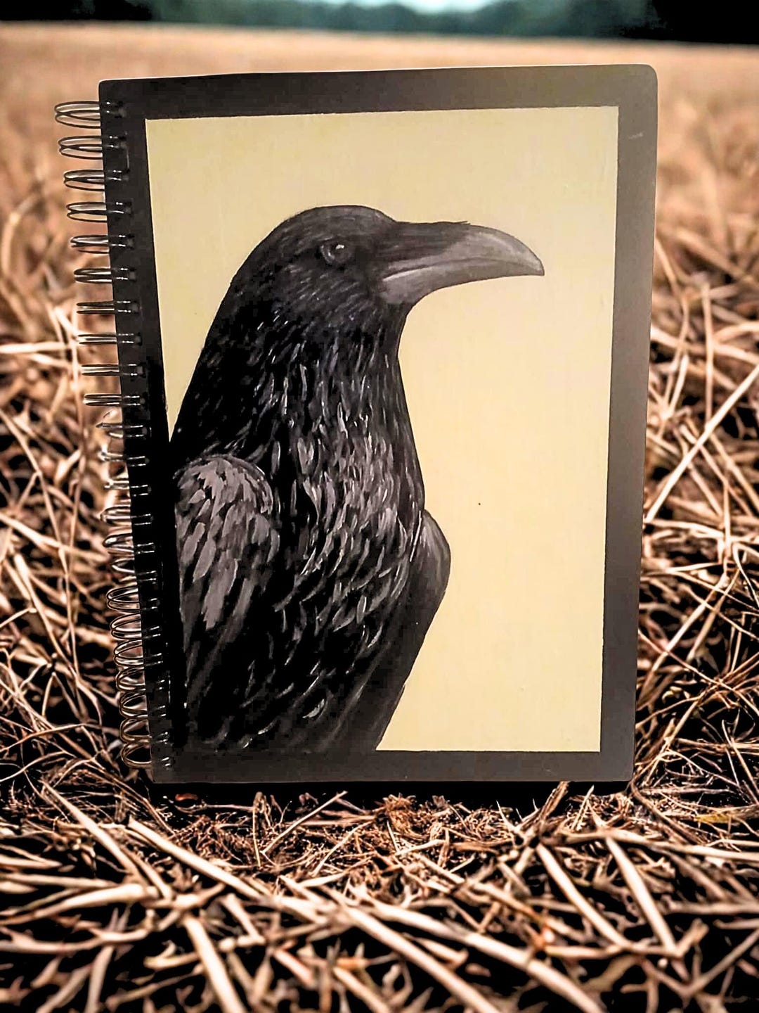 One of a Kind Raven Journal – Hand Painted Ritual Art Journal for ...