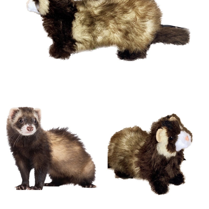 Ferret Plush - Etsy
