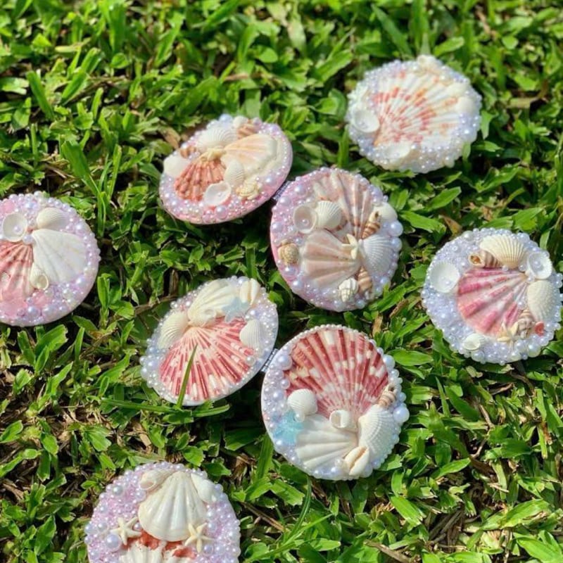 Seashell Mirror - Etsy