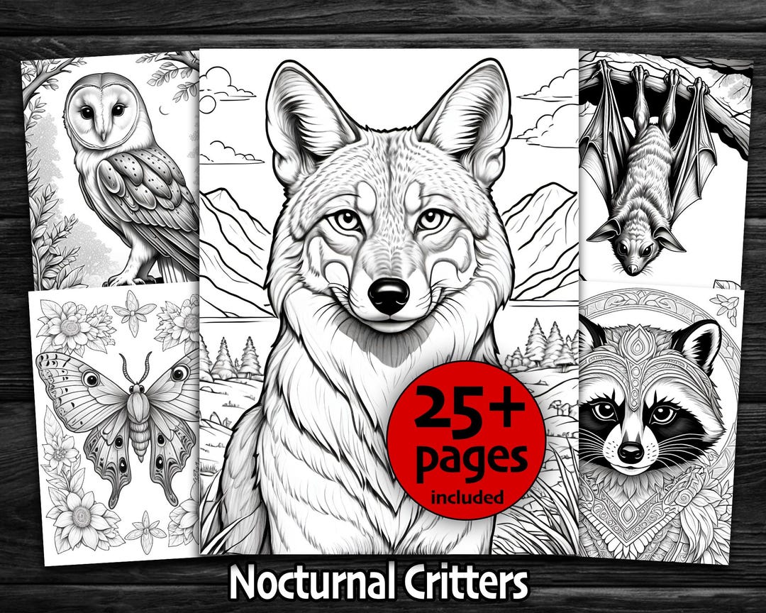 Nocturnal Animals Coloring Book: Grayscale Designs (PDF & PNG Digital ...