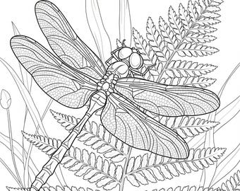4 Insects and Botanical Coloring Pages - Etsy