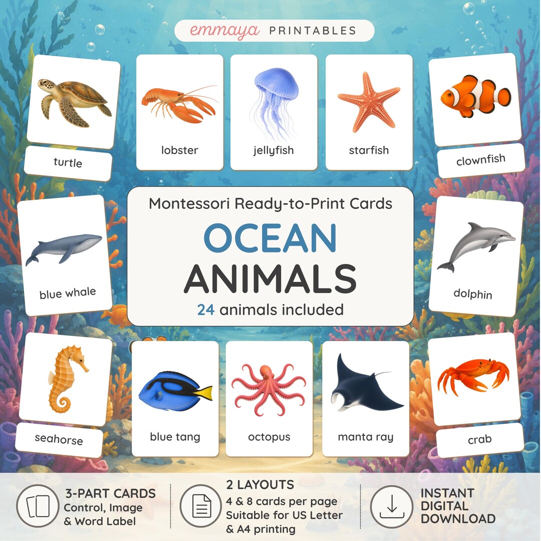 Ocean Animals Flashcards, Marine Montessori 3 Part Cards, Printable ...