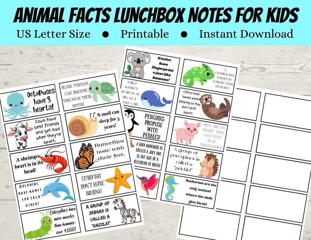 Animal Facts Lunchbox Notes for Kids – Printable Lunch Notes, Fun ...