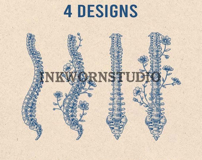 Floral Spinal Column Svg | Human Spine Svg | Medical Art | Butterfly ...