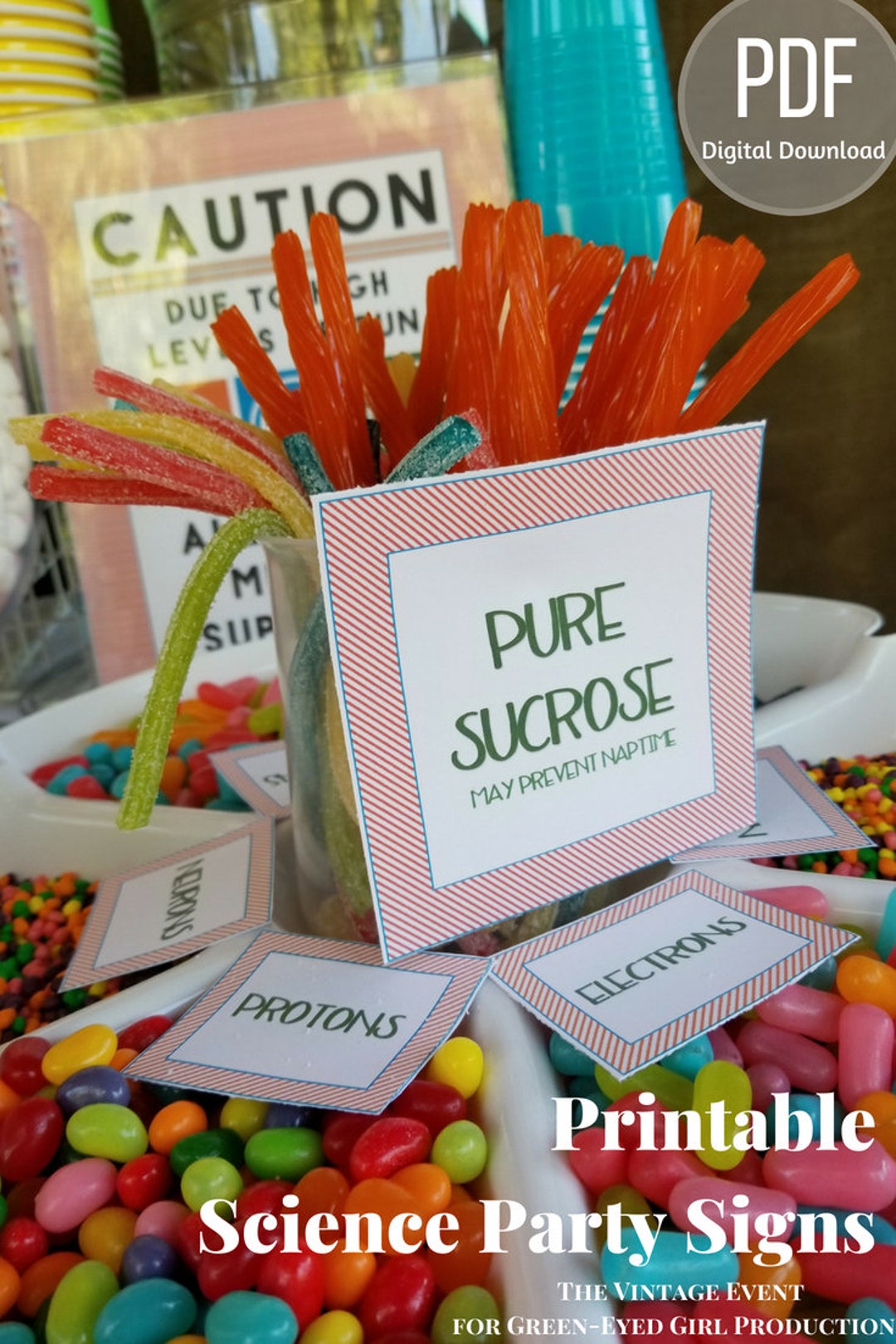 Science Birthday Party Printables | Science Party Labels | 24 Pages - Etsy