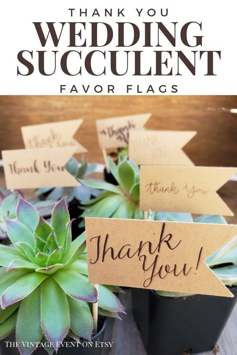 Favor Flags Thank You Picks Succulent Wedding FavorsBridal | Etsy