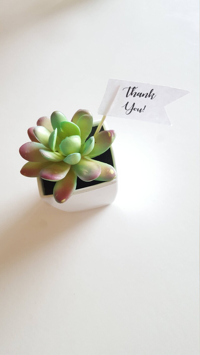 Favor Flags Thank You Picks Succulent Wedding Favors | Etsy